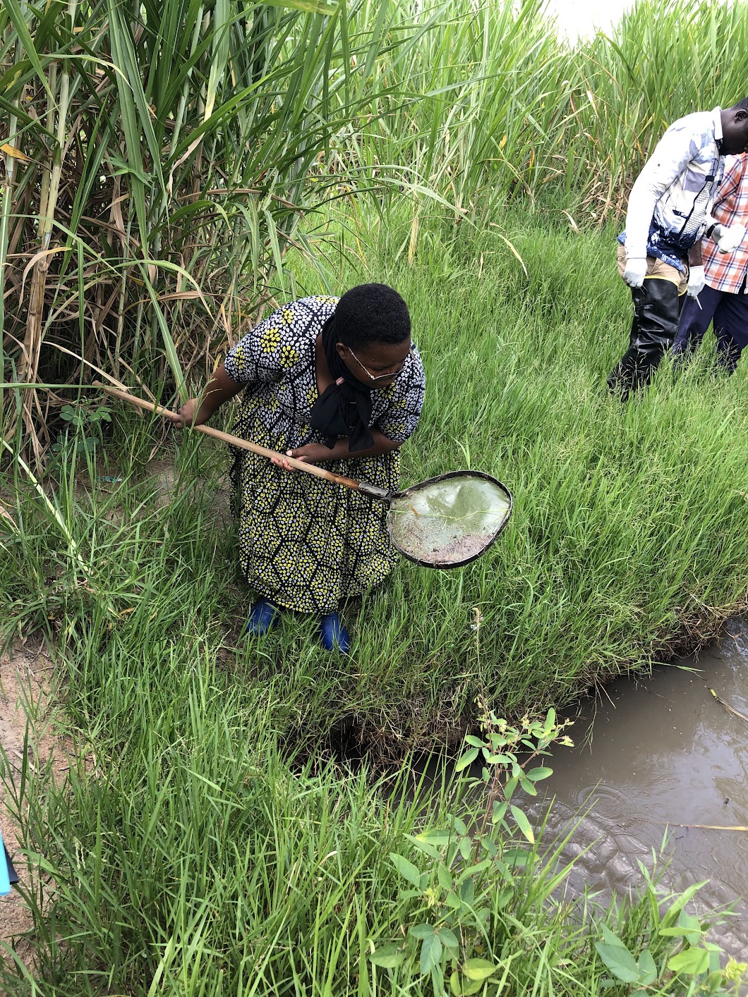 Research – the SNAIL lab